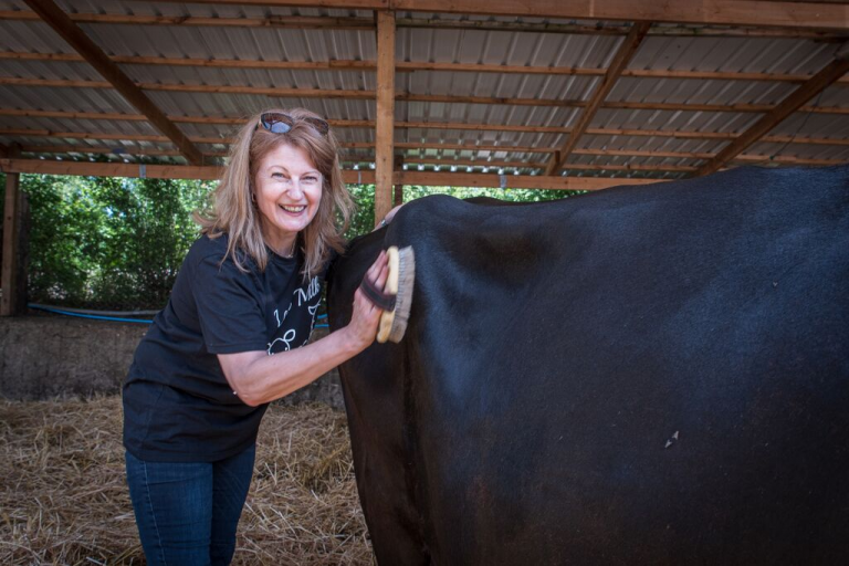 Cow Cuddling & Brushing - Ahimsa Milk